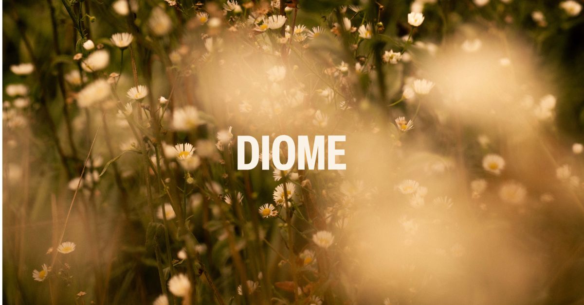 DIOME | Natural solutions for the side effects of modern life. – Diome.co