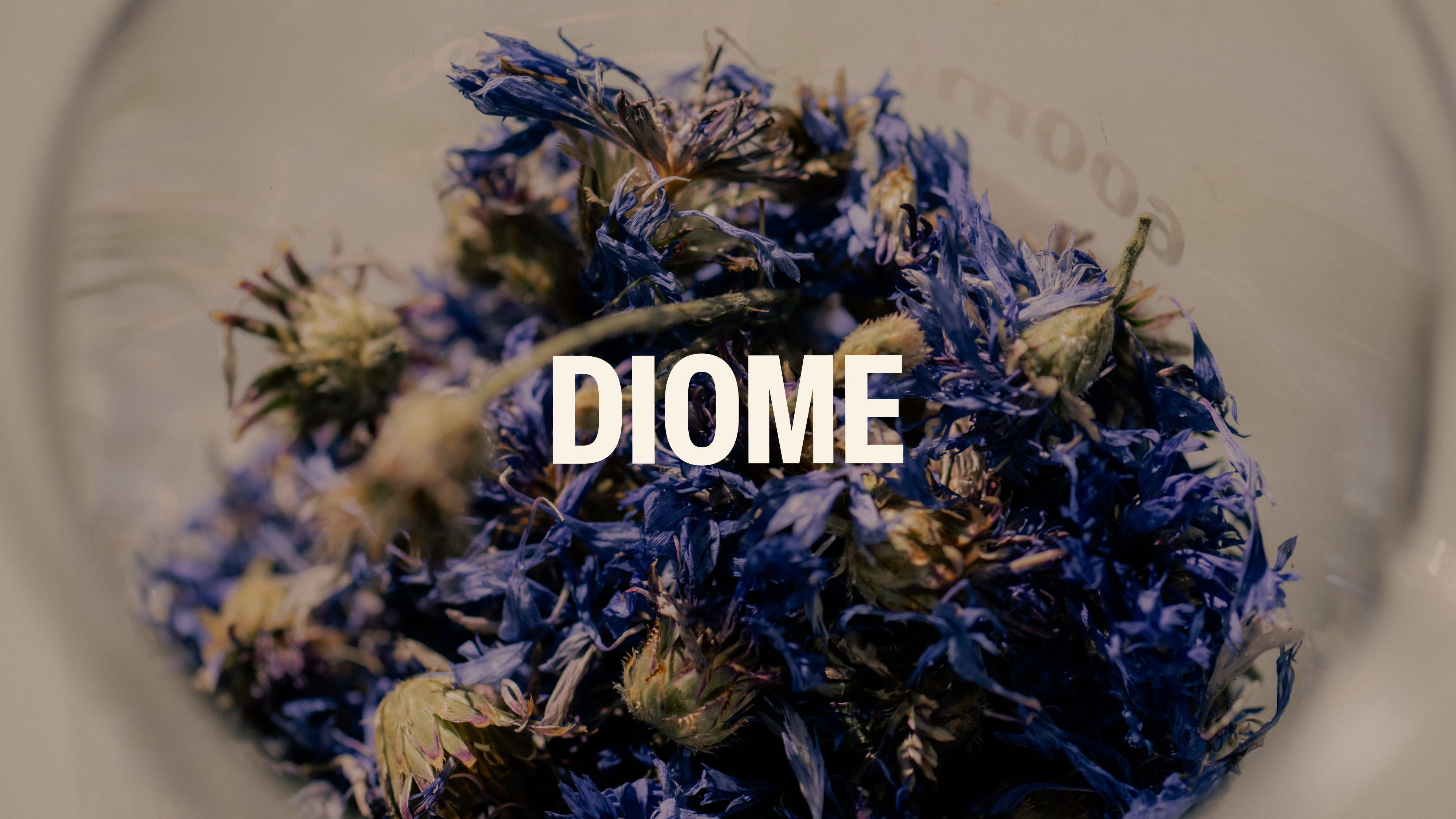 DIOME | Science-backed formulas for the demands of daily life. – Diome.co