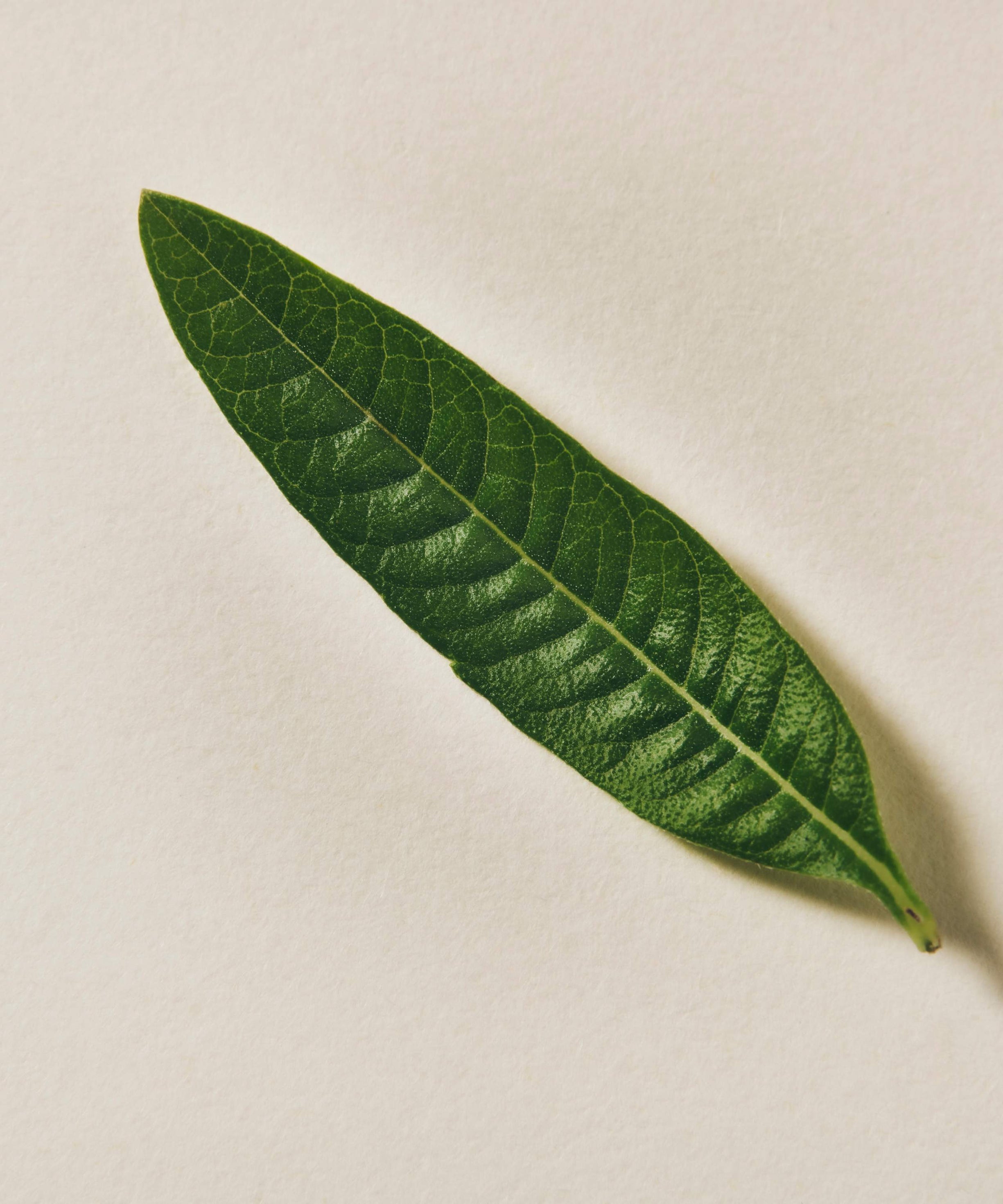 DIOME | Rested | Award-winning sleep supplement – Diome.co